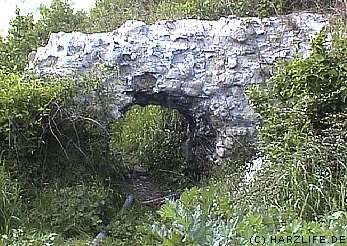 Sehenswertes am Harzrand - Die Burgruine Heimburg